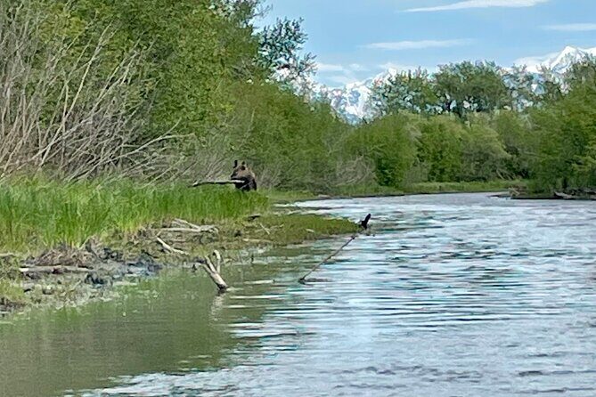 Half-Day Guided Kayak Tour on Knik River - Final Thoughts