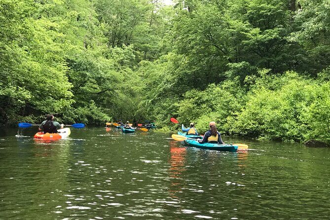 Half-Day Guided Kayaking in the Smoky Mountains of Tallassee - Key Points