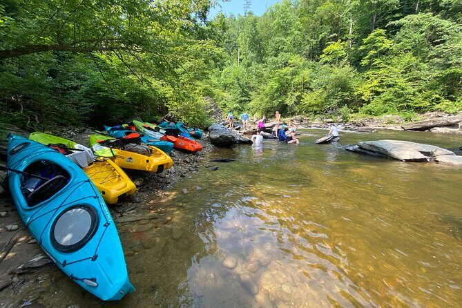 Half-Day Guided Kayaking in the Smoky Mountains of Tallassee - What to Expect on the Tour