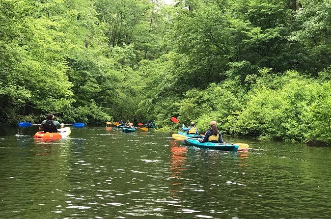 Half-Day Guided Kayaking in the Smoky Mountains of Tallassee - Who Will Love This Tour?