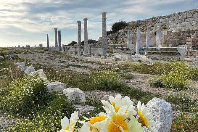 Half Day Guided Knidos Ancient City Tour - Possible Drawbacks and Considerations