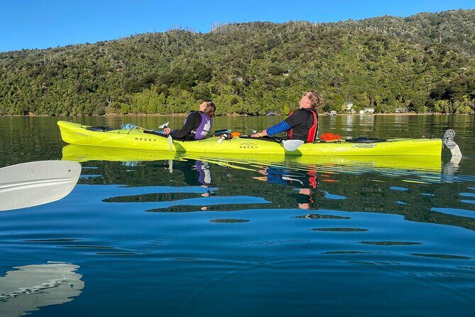 Half-Day Guided Sea Kayak Trip from Picton - The Experience from a Travelers Perspective