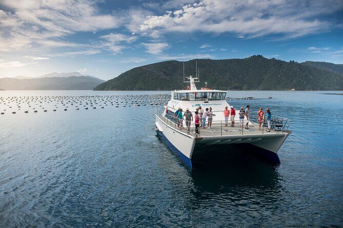 Half-Day Guided Sea Kayak Trip from Picton - Who Will Love This Trip?