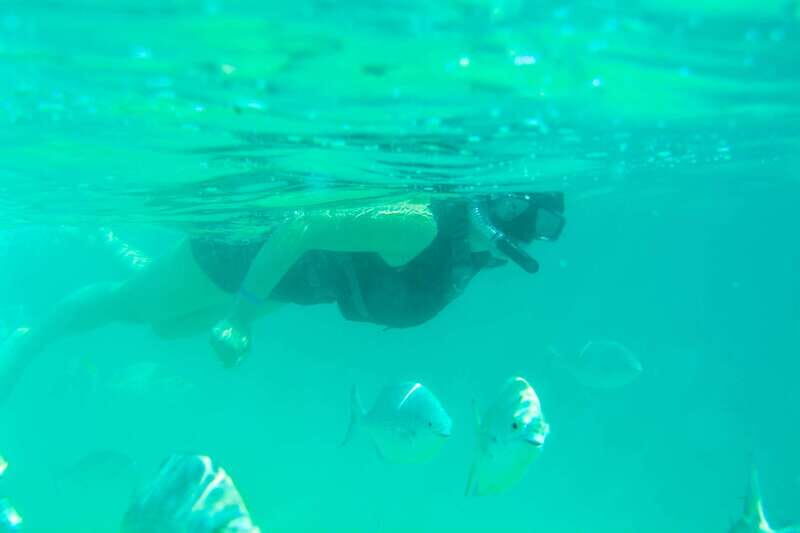 Half Day Guided Snorkel Tour in Los Cabos - Practical Details