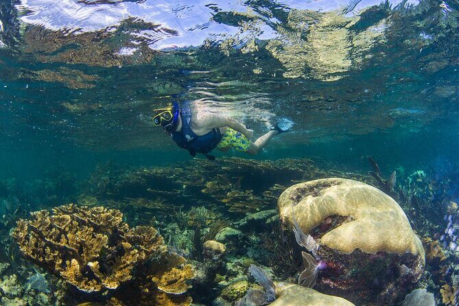 Half Day Guided Snorkeling Adventure Tour from Cancun - Final Considerations: Is This Tour Right for You?