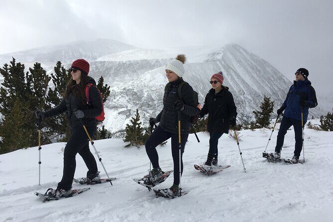 Half Day Guided Snowshoe Tour Near Breckenridge - An Authentic Colorado Winter Experience