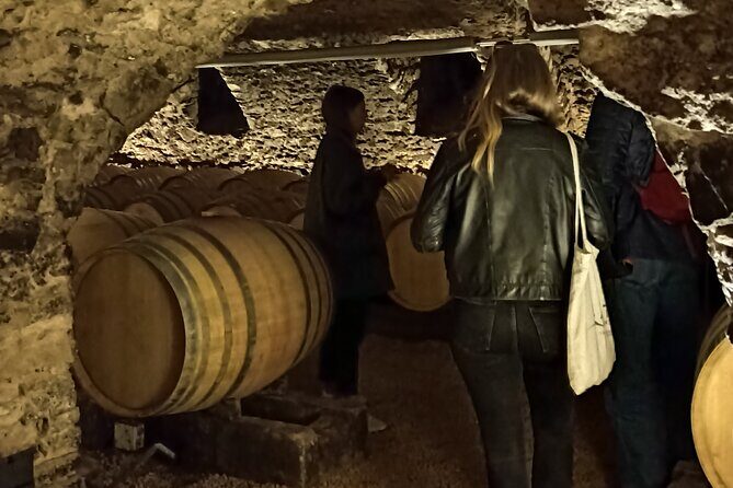 Half-Day Guided Tour with Tasting of Beaujolais Wines - Key Points
