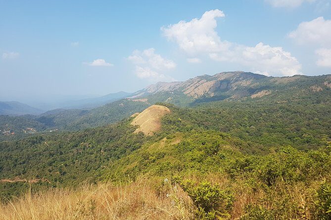 Half Day Guided Trek - An In-Depth Look at the Madikeri Trek Experience
