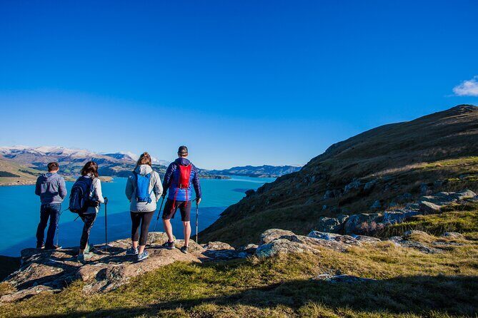 Half Day Guided Walking Tour on Banks Peninsula - Key Points