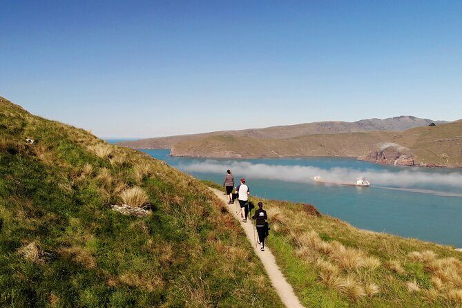 Half Day Guided Walking Tour on Banks Peninsula - An In-Depth Look at the Experience