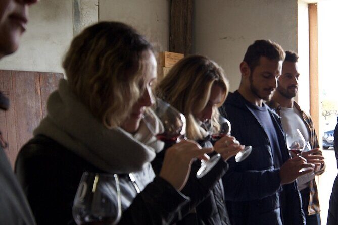 Half-Day Guided Wine Tasting Tour in Bordeaux Vineyards - Analyzing the Experience: The Fine Details