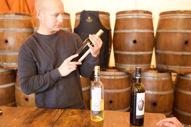 Half-Day Guided Wine Tasting Tour in Bordeaux Vineyards - Final Words