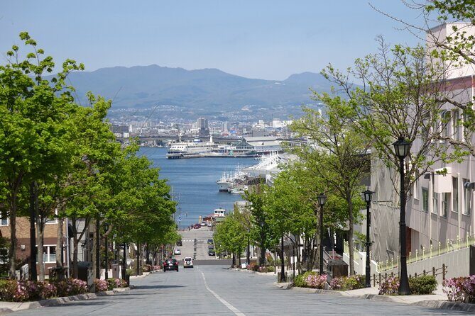 Half Day Hakodate Tour with Government Licensed English guide - Introduction