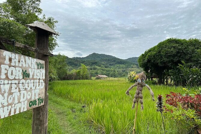 Half Day Hands On Rice Learning Experience in Luang Prabang - An In-Depth Look at the Tour Experience