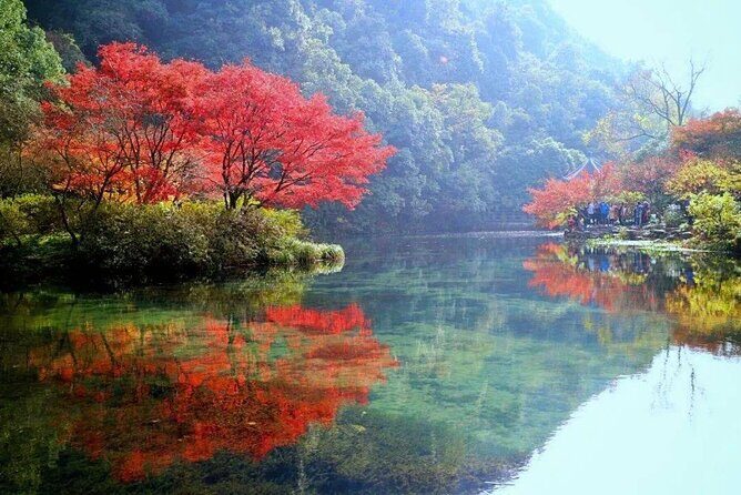 Half-Day Hangzhou Jiuxi Stream and Tea Plantation Experience - Why This Tour Is a Great Choice