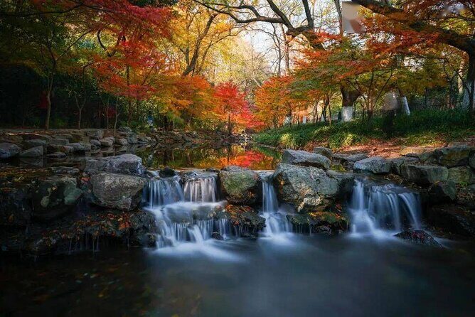 Half-Day Hangzhou Jiuxi Stream and Tea Plantation Experience - Final Thoughts