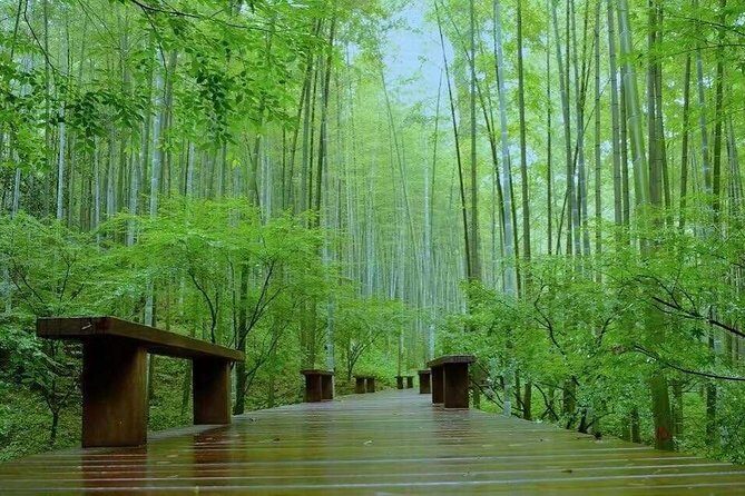 Half-Day Hangzhou Nature Explore with Green Tea Village and Yunxi Bamboo Forest - An Overview of What to Expect