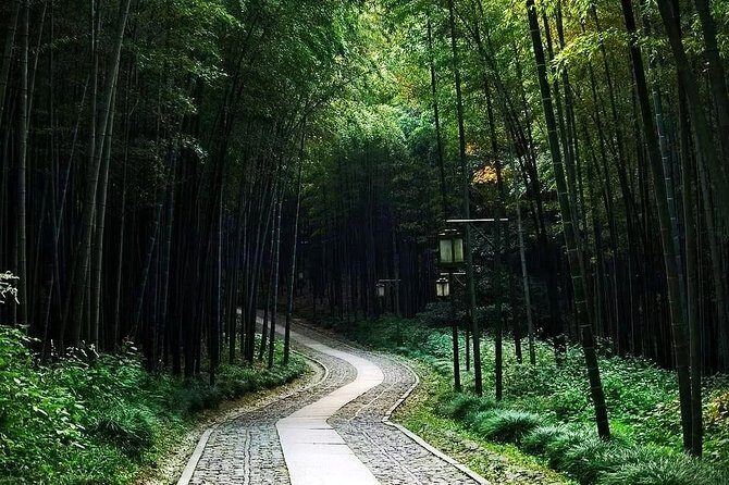 Half-Day Hangzhou Nature Explore with Green Tea Village and Yunxi Bamboo Forest - Logistics and Practicalities