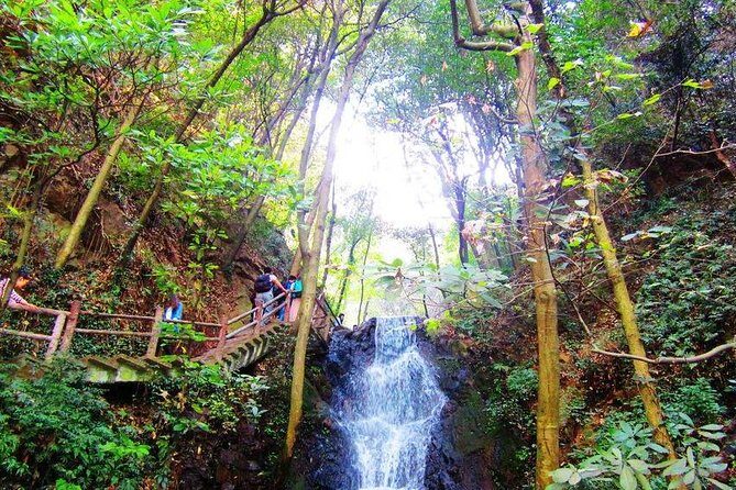 Half-Day Hangzhou Nine Creeks Hiking Tour with Tea Plantation Experience - Key Points
