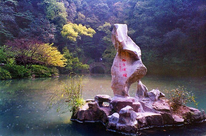 Half-Day Hangzhou Nine Creeks Hiking Tour with Tea Plantation Experience - Who Will Love This Tour?