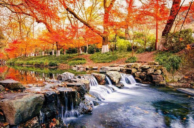 Half-Day Hangzhou Nine Creeks Hiking Tour with Tea Plantation Experience - FAQ