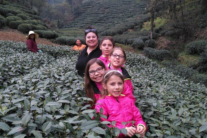 Half-Day Hangzhou Private Tour with Green Tea Village and Lingyin Temple - The Practical Details