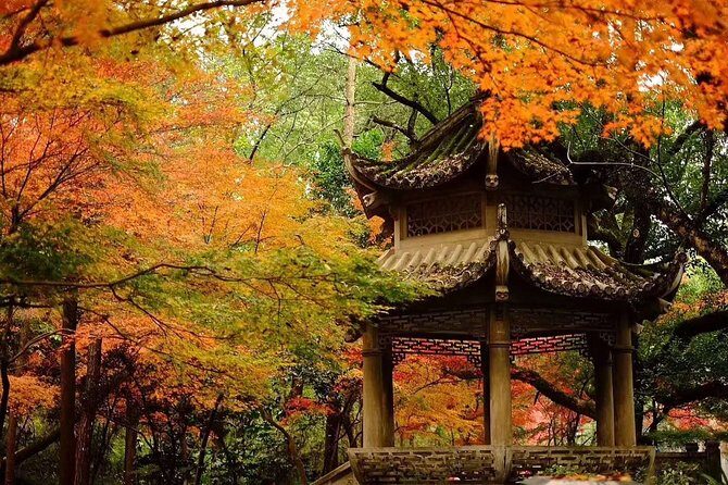 Half-Day Hangzhou Tianzhu Buddhist Mountain Hiking Tour with Green Tea Village - Exploring Hangzhou’s Natural and Cultural Gems