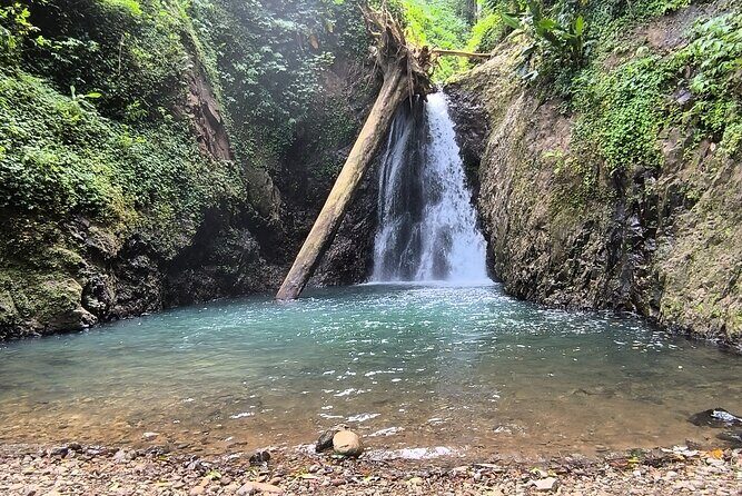 Half-Day Hike to the seven sisters waterfalls - Exploring the Waterfalls and the Rainforest Environment