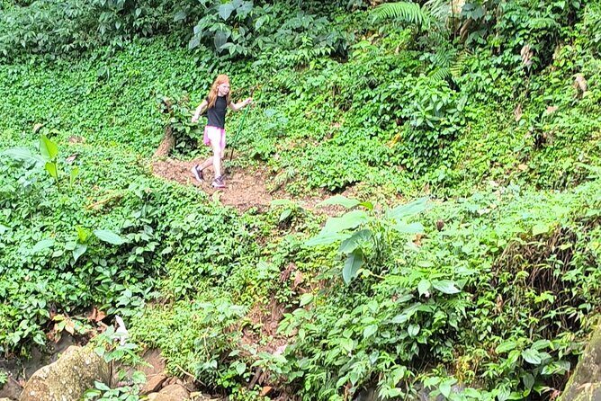 Half-Day Hike to the seven sisters waterfalls - The Sum Up