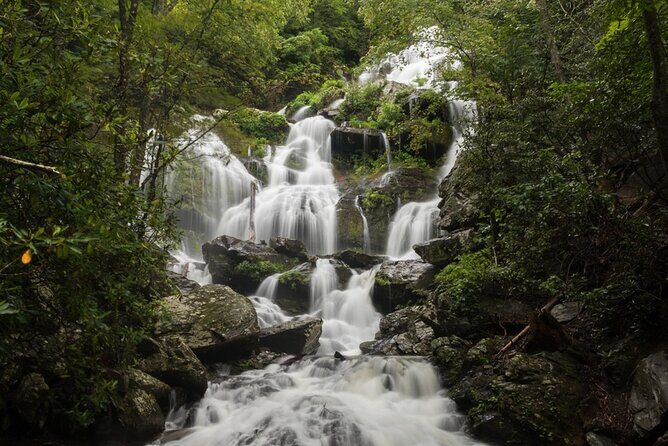 Half Day Hike - Water Falls - Discovering Asheville’s Waterfalls: An Authentic Mountain Adventure