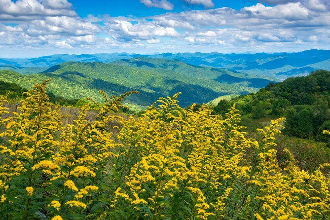Half-Day Hike with Long Range Views from Asheville - Discover Asheville’s Blue Ridge Views on a Half-Day Hike