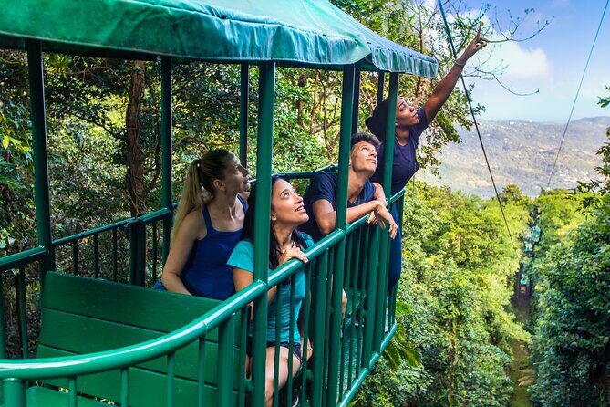 Half-Day Hiking Adventure with Aerial Tram & Zipline in St Lucia - Authentic Experiences and Traveler Feedback