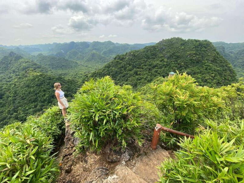 Half Day Hiking to Cat Ba National Park with a Guide - Exploring the Half Day Hiking to Cat Ba National Park with a Guide