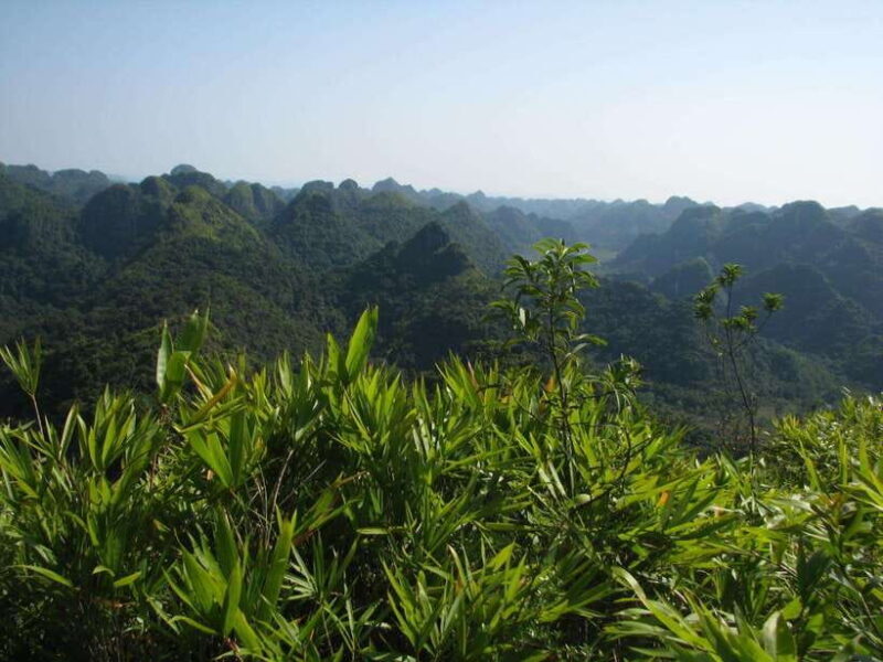 Half Day Hiking to Cat Ba National Park with a Guide - Practical Details and Tips