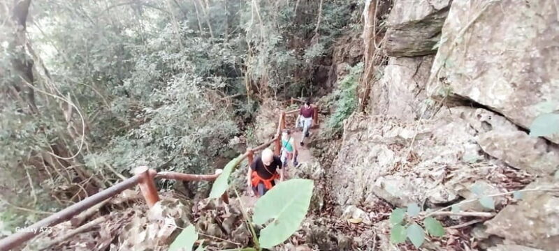 Half Day Hiking to Cat Ba National Park with a Guide - Who Is This Tour Best For?