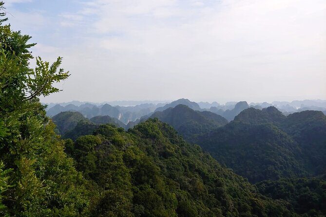 Half Day Hiking to Discover Cat Ba National Park with a Guide - Key Points