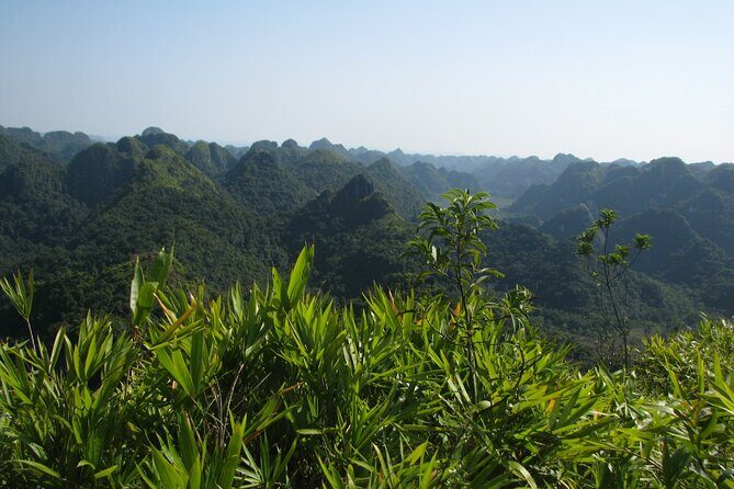 Half Day Hiking to Discover Cat Ba National Park with a Guide - A Practical Look at the Tour Itself