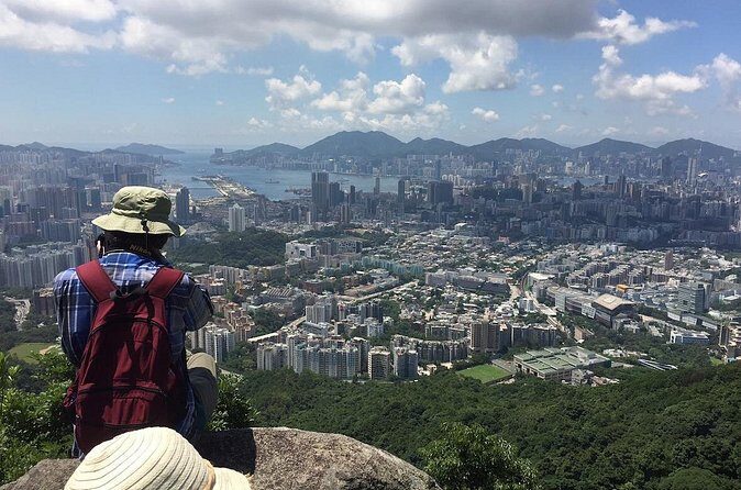 Half-day Hiking Tour in The Green to Lion Rock in Hong Kong - What’s Included and What You Should Bring