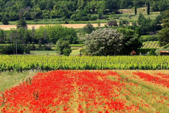 Half Day Hilltop Villages of Luberon Tour from Avignon - Final Thoughts