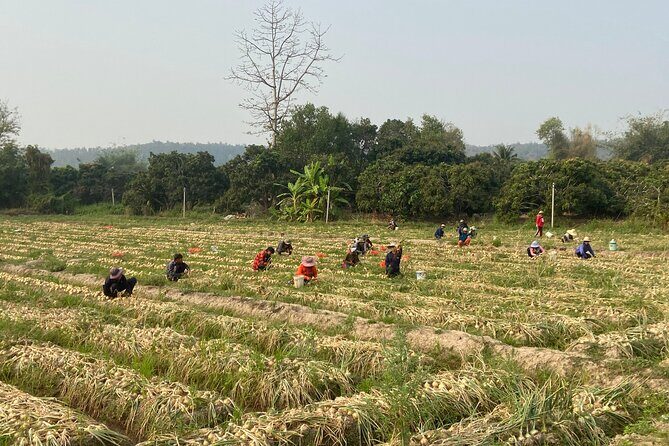 Half-day hilly adventure to Mae Wang (some unpaved, GUIDED) - What Makes This Tour Stand Out?