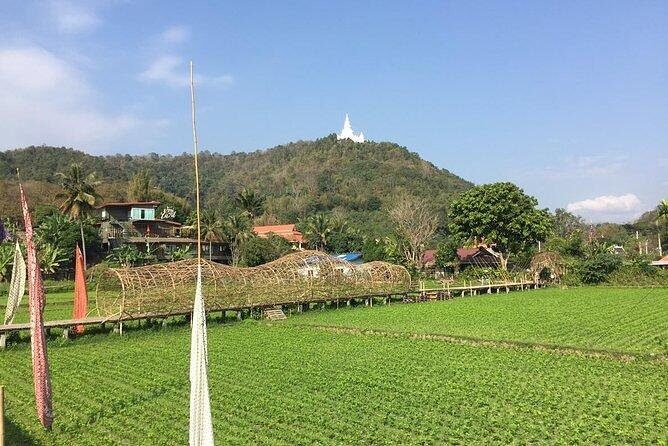 Half-day hilly E-bike adventure (fully paved roads, GUIDED) - Authentic Experiences and Authentic Feedback