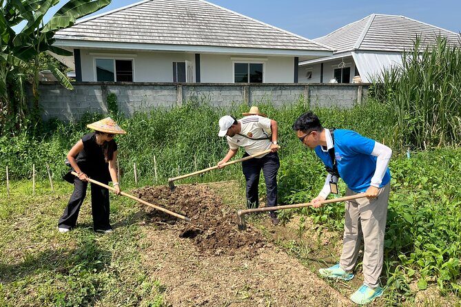 Half Day Historical and Cultural Experience Bicycle Tour - FAQs