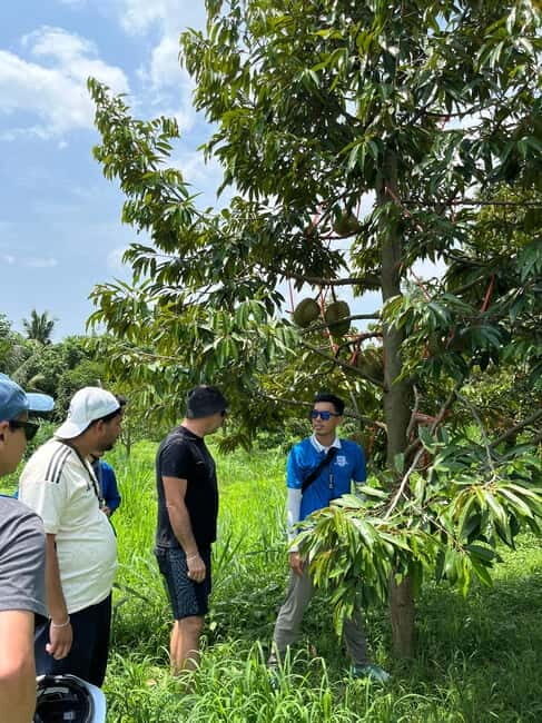 Half Day Historical & Cultural Experience Bicycle Tour - Visiting the Organic Farm