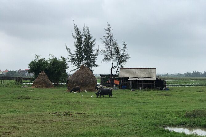 Half-Day Hoi An Countryside and Villages Tour by Bike - FAQ