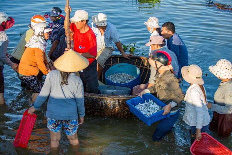 Half-day Hoi An Scenic River Cruise And Village Exploration - Key Points