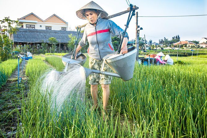 Half-day Hoi An Sunrise Or Sunset Photo Tour - What Makes This Tour Stand Out