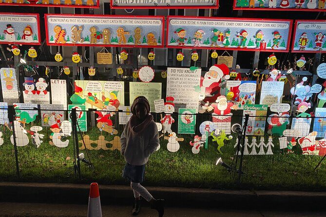 Half-Day Holiday and Tacky Lights Tour in Richmond - A Deep Dive into the Richmond Holiday Lights Tour