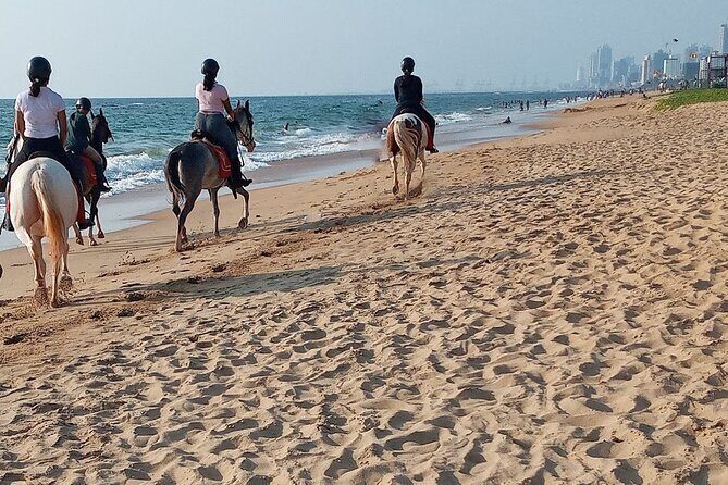 Half-Day Horse Riding in Kalpitiya - Key Points