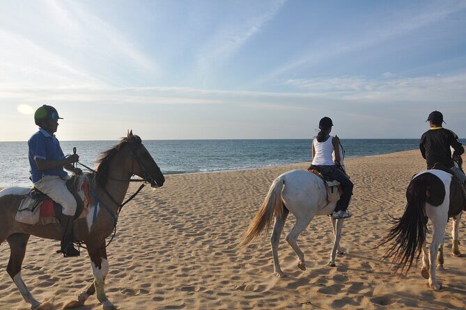 Half-Day Horse Riding in Kalpitiya - FAQ