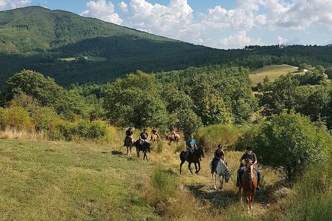 Half-Day Horseback Ride in Tuscany - What You Can Expect: An Authentic Ride through Tuscany